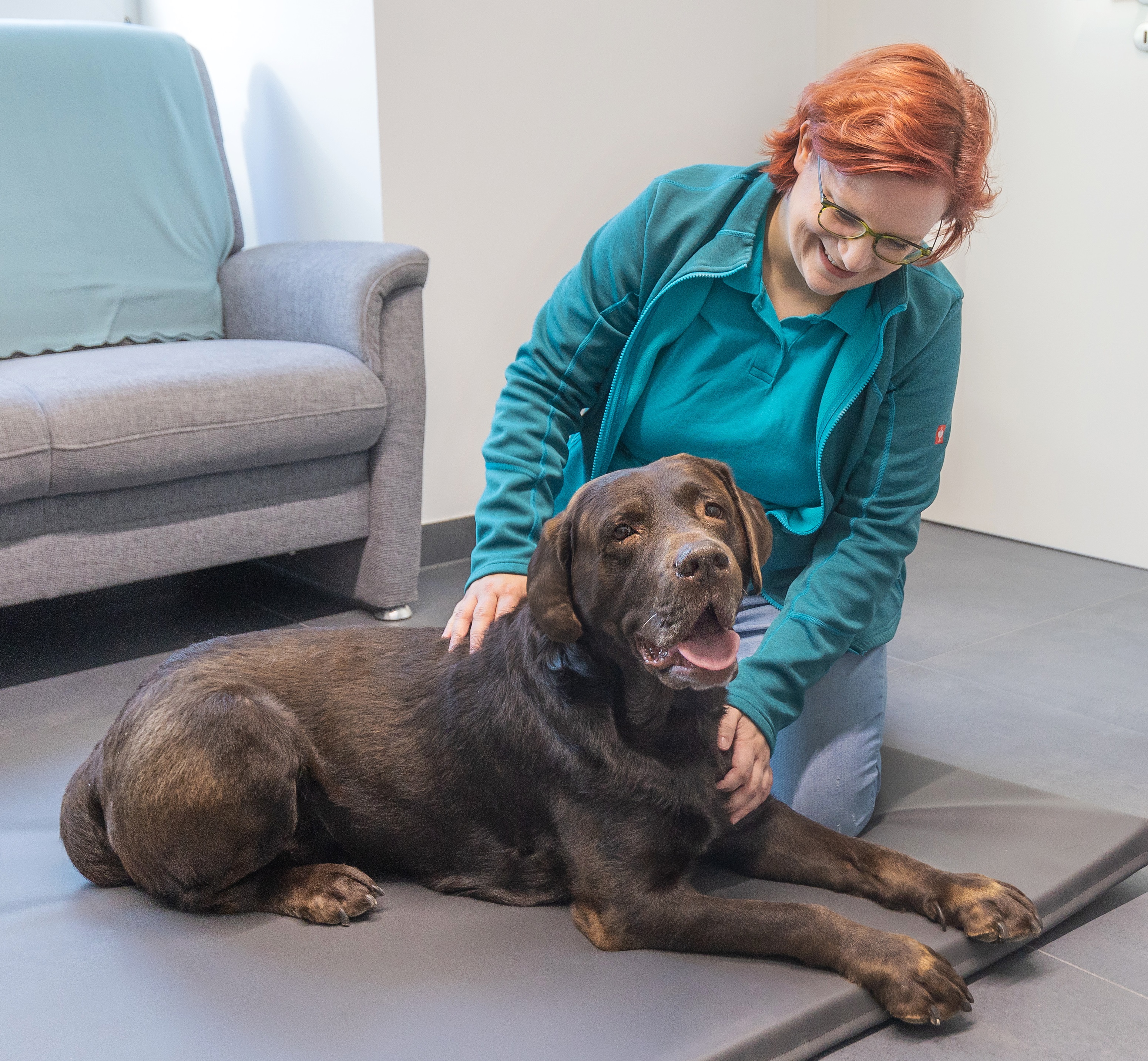 Tierkrankenversicherung - Tierarztpraxis Lisa Plagge